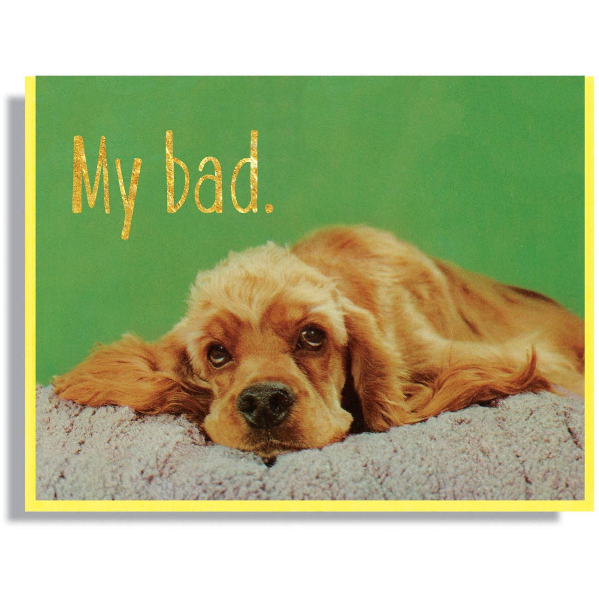 Smitten Kitten My Bad Apology Card | Pressland General